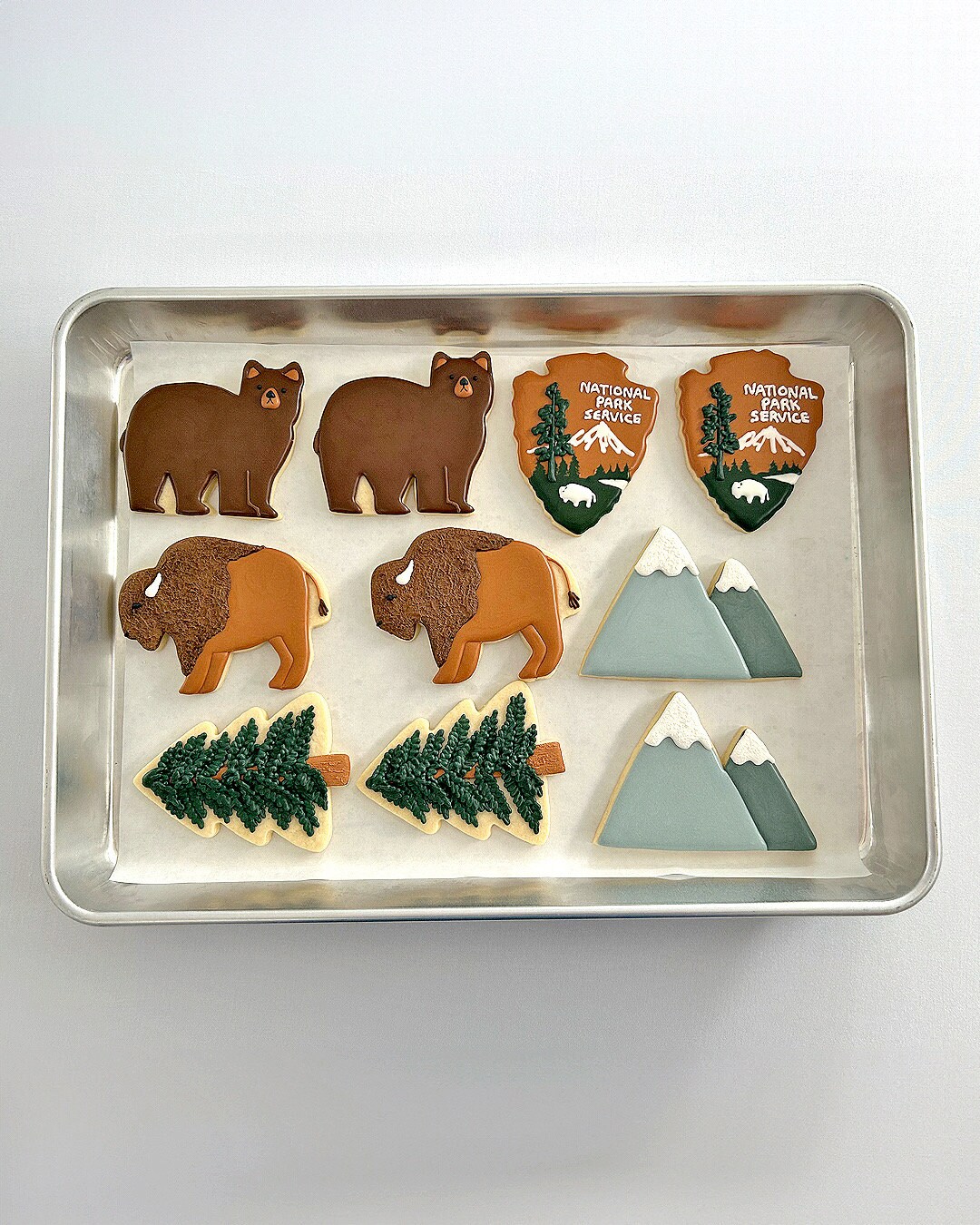 National Park Bison, Bear, Mountain, Crest, and Pine Tree Wildlife ...