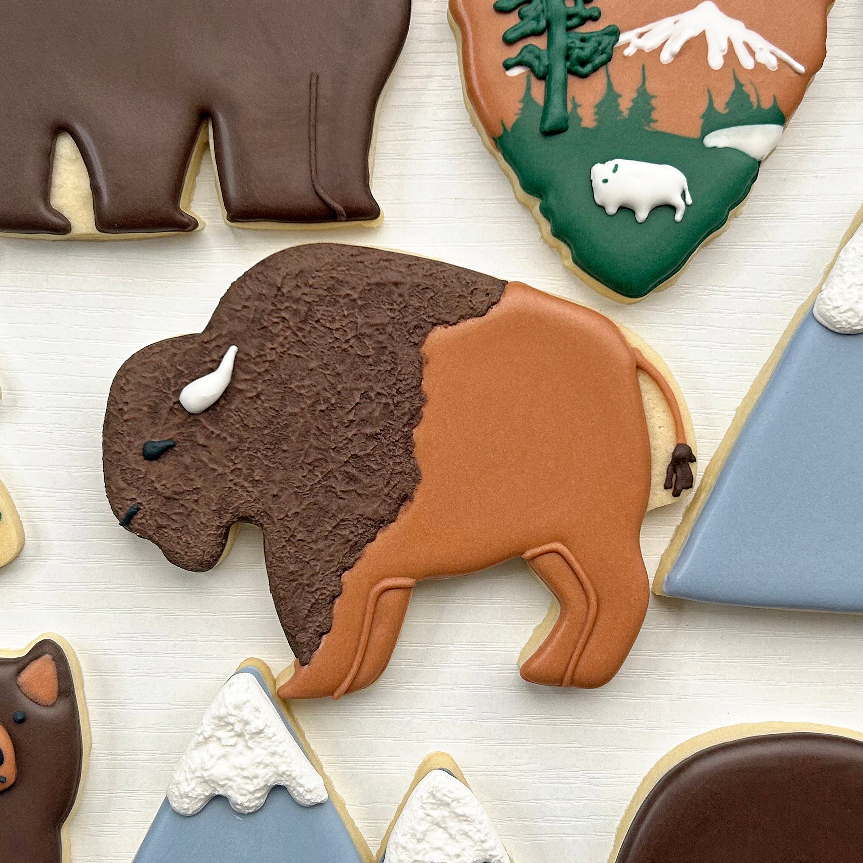 National Park Bison, Bear, Mountain, Crest, and Pine Tree Wildlife ...