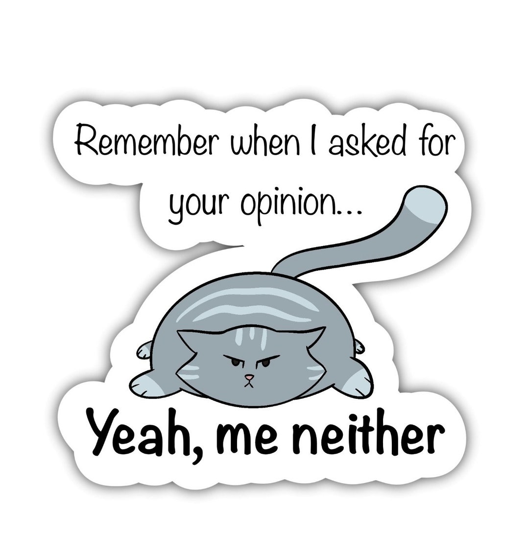 Remember When I Asked for Your Opinion… Yeah Me Neither, Funny Sticker ...