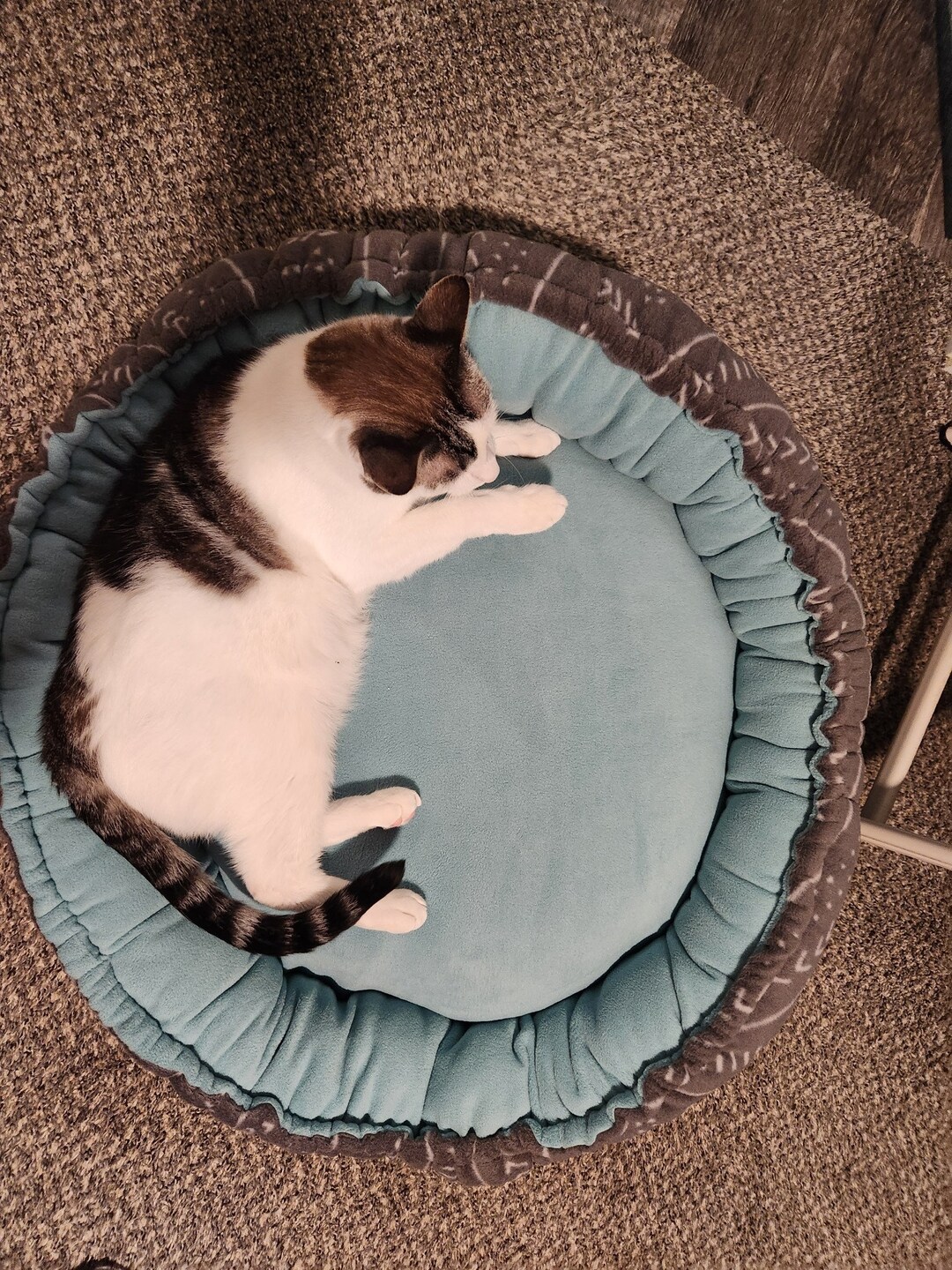 REVERSIBLE PET BED for Cats, Dogs, Bunny, Ferrets, Lizards, Guinea Pigs ...