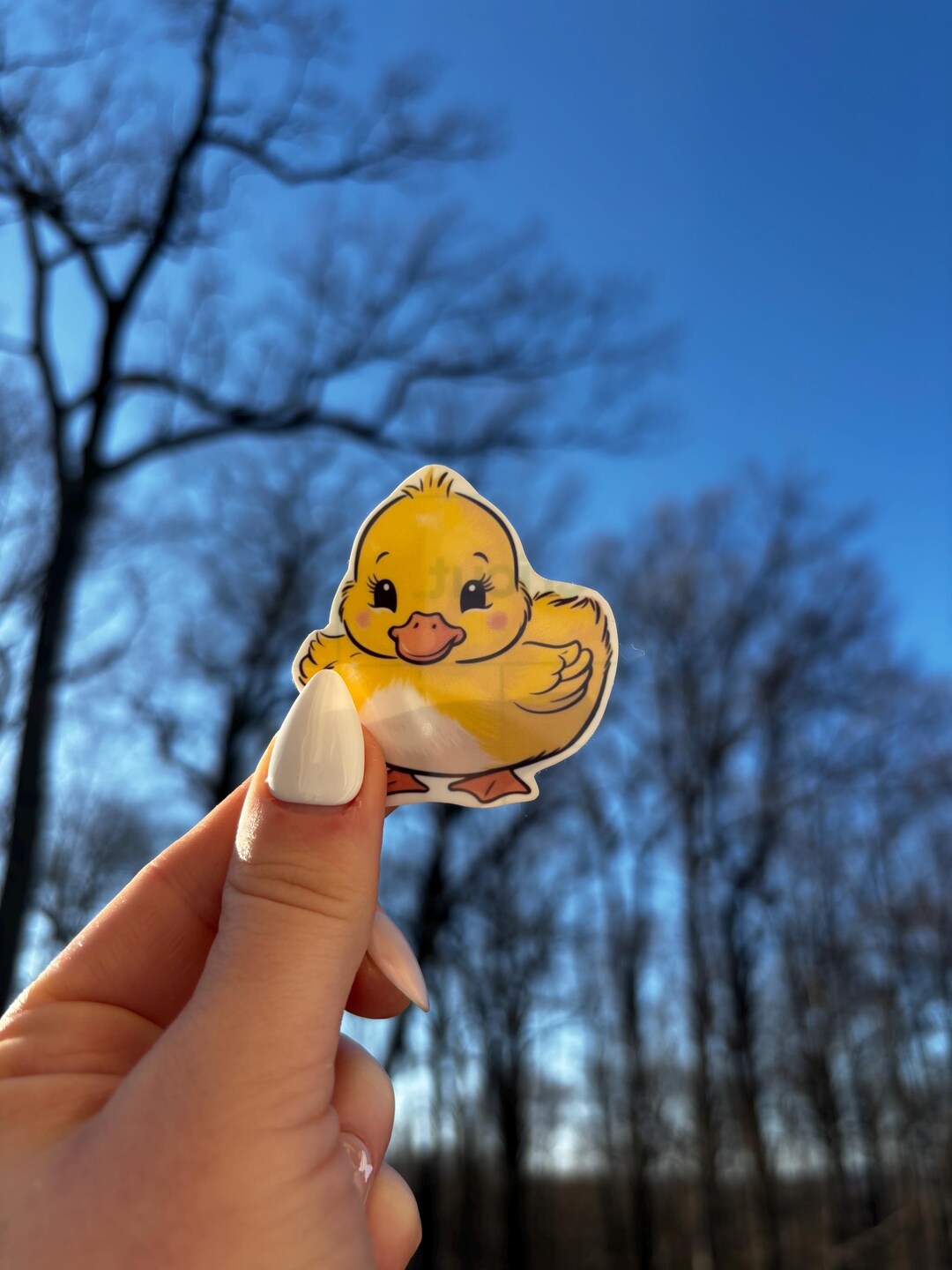 Duckie Sticker || Sticker for Laptops, Notebooks, Waterbottles. Hand ...