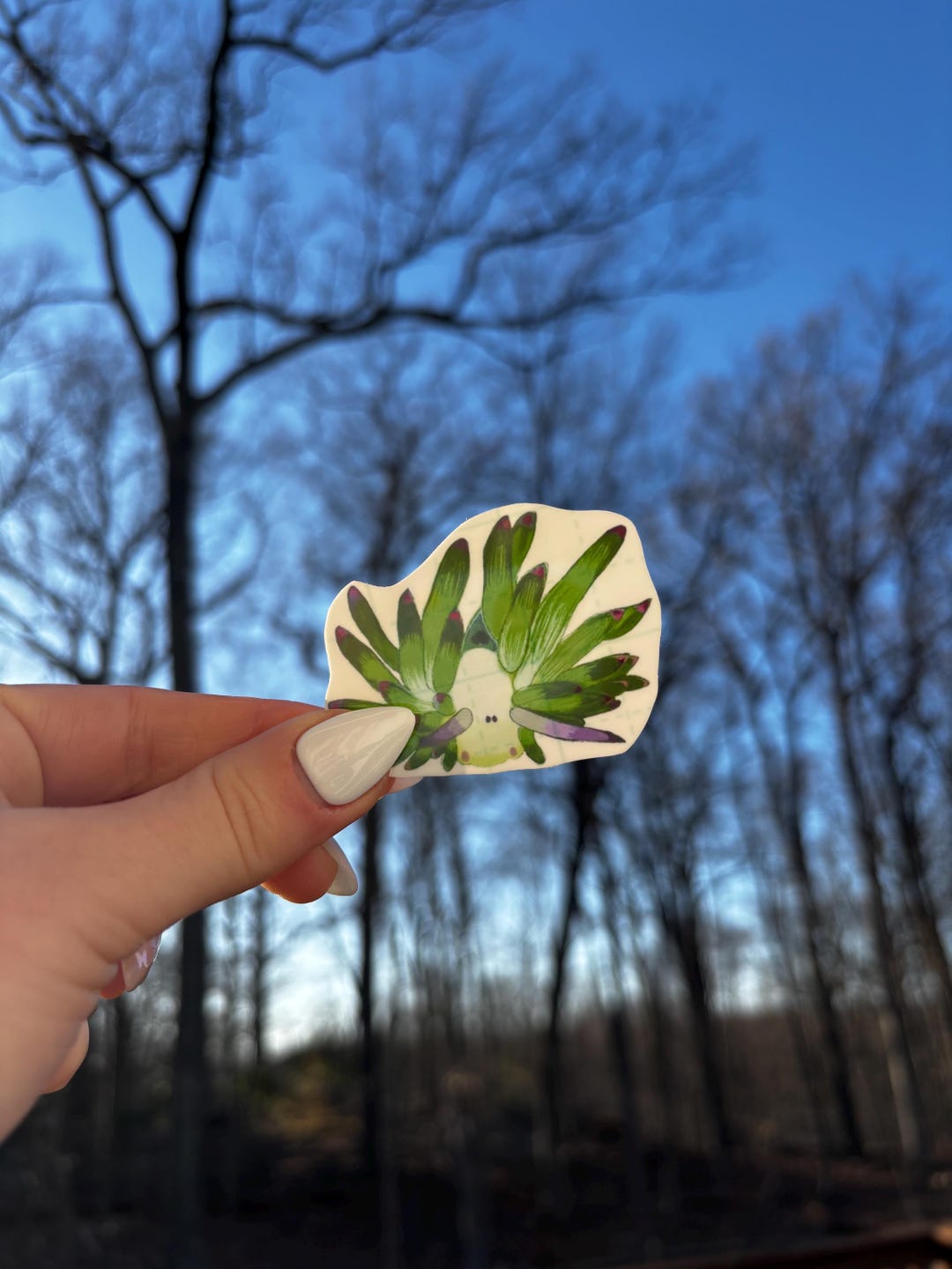 Leaf Sheep Slug Sticker || Sticker for Laptops, Notebooks, Waterbottles ...