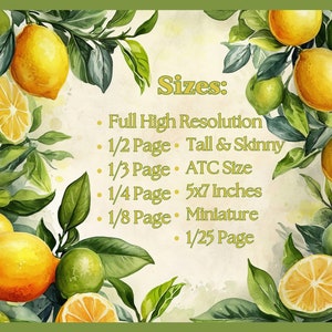 MEGA BUNDLE FOOD Themed Set of 100 Designs, Recipe Cards, Cookbook ...