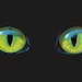 Cat's Eyes Cross Stitch Pattern - Two Patterns That Can Be Stitched ...