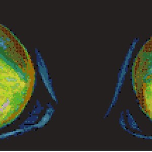 Cat's Eyes Cross Stitch Pattern - Two Patterns That Can Be Stitched ...