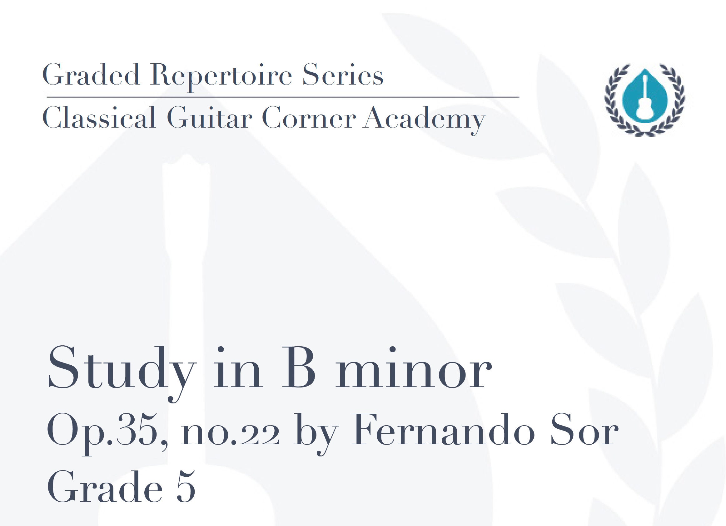 Study in B Minor, Op. 35 No. 22 by Fernando Sor With TAB - Etsy
