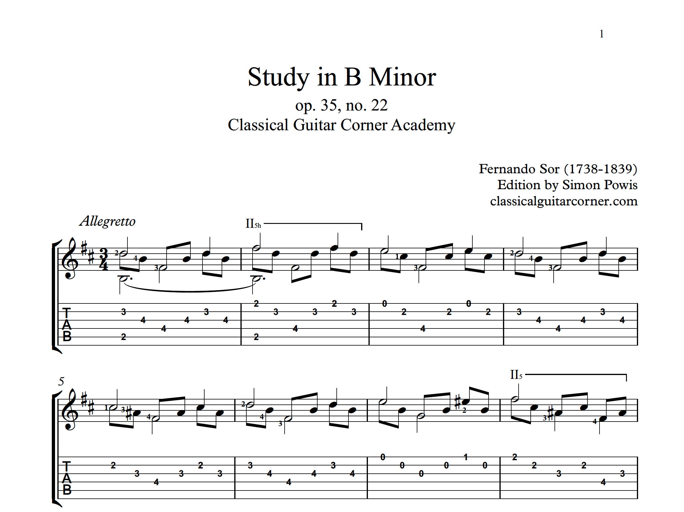 Study in B Minor, Op. 35 No. 22 by Fernando Sor With TAB - Etsy