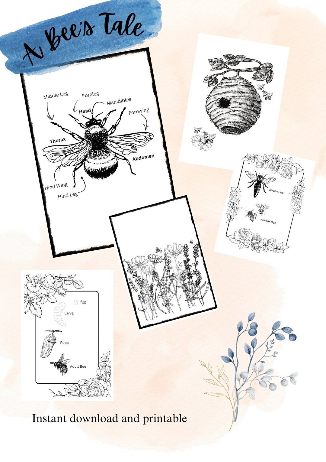 Bee Themed Printable - Etsy