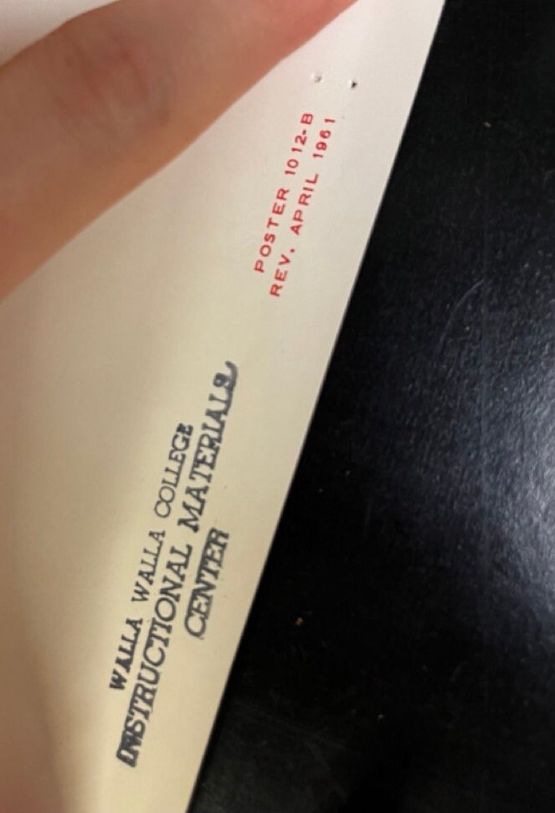 Red Cross Swim Safety Poster you Can Help Even If You Can't Swim - Etsy