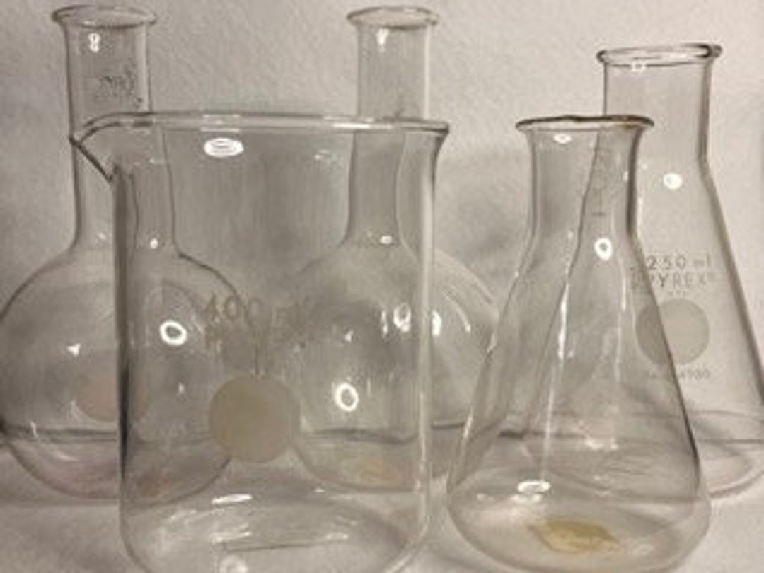 Class Beakers Vintage 400 Ml and 250 Ml, Plant Propagation Homeschool ...