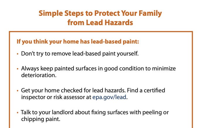 DIGITAL - Federal Lead Safety Booklet and Lead Disclosure Form - Etsy