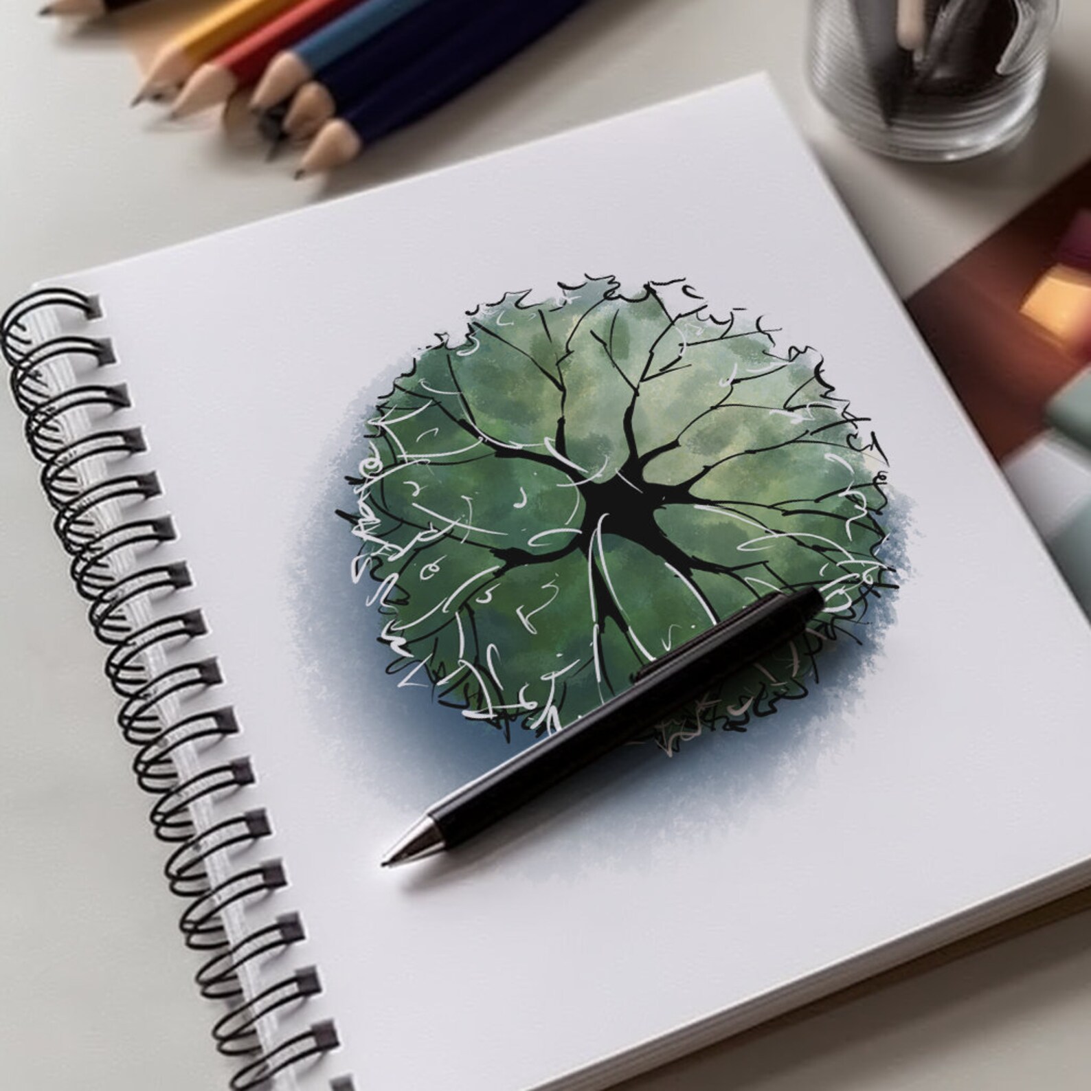 8 Water Color Tree Plan Symbols - Etsy