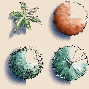 8 Water Color Tree Plan Symbols - Etsy