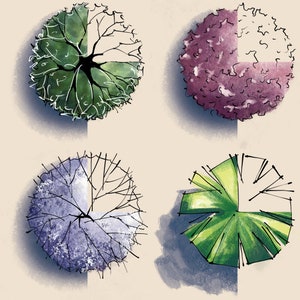 8 Water Color Tree Plan Symbols - Etsy