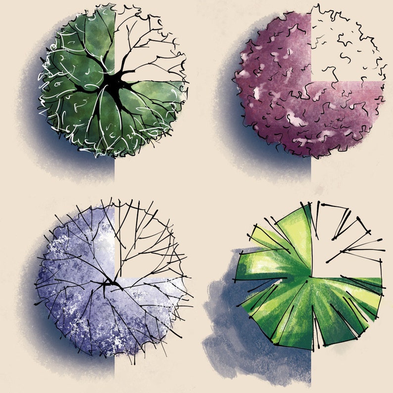 8 Water Color Tree Plan Symbols - Etsy
