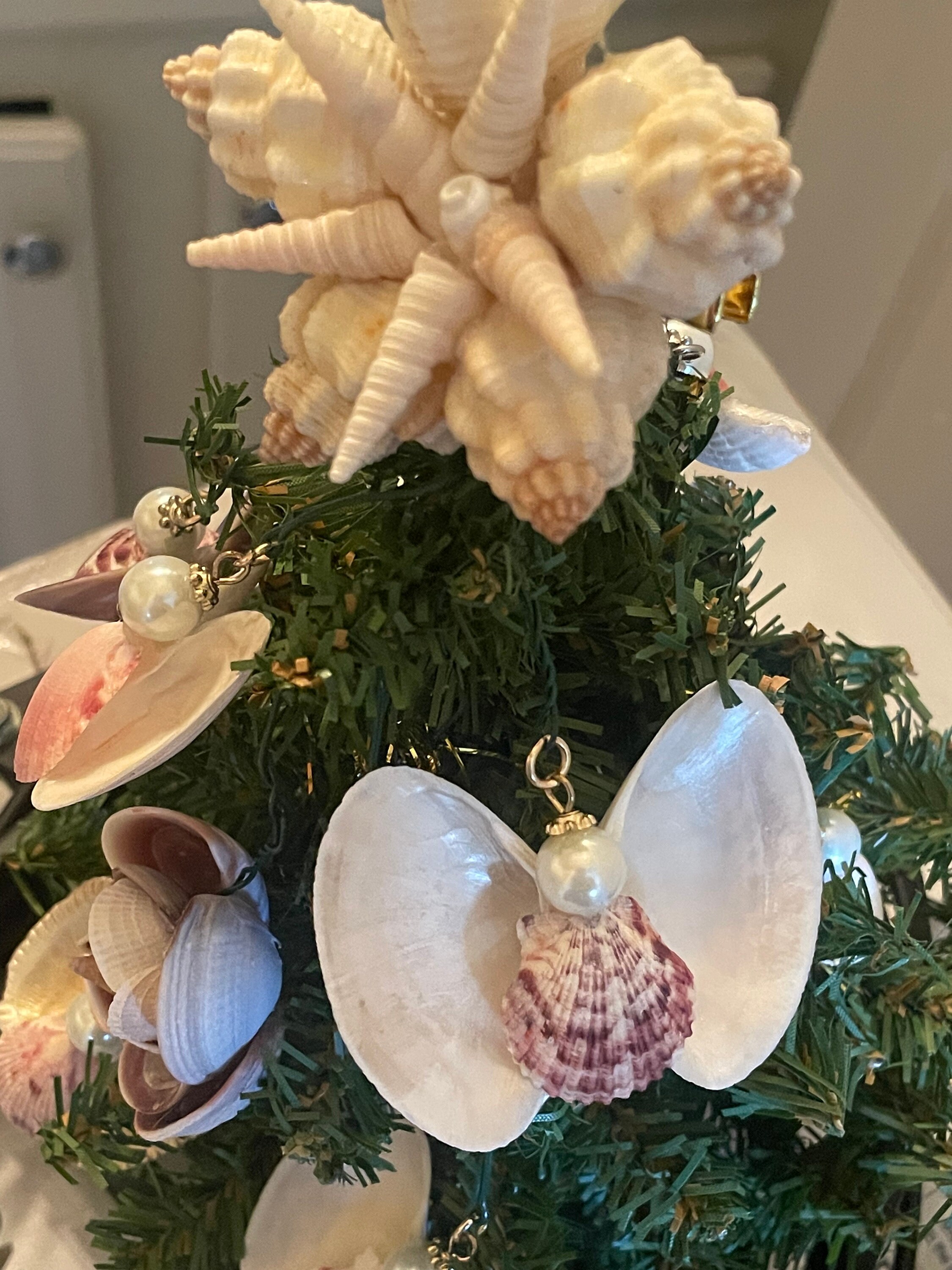 Shell Angels | Tree Ornaments | Tropical Christmas - Etsy
