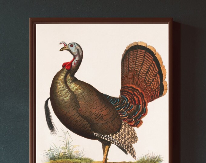 Les Kouba Kouba's Roost S/N Wild Turkey Art Print - Etsy
