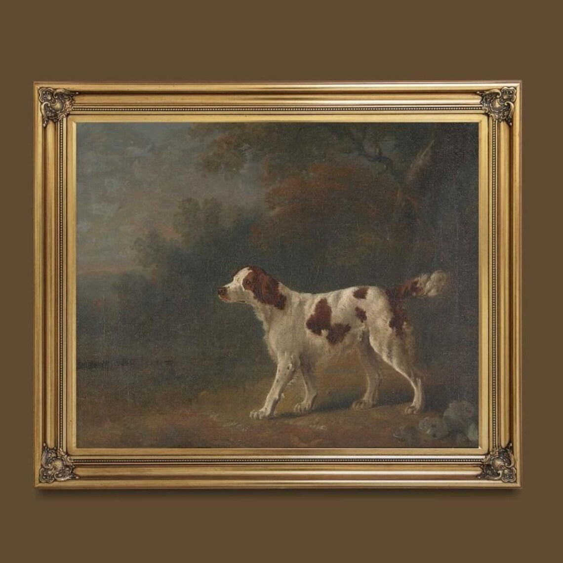 A Setter, Vintage Dog Art Print, Museum Quality Matte Finish, Frame Not ...