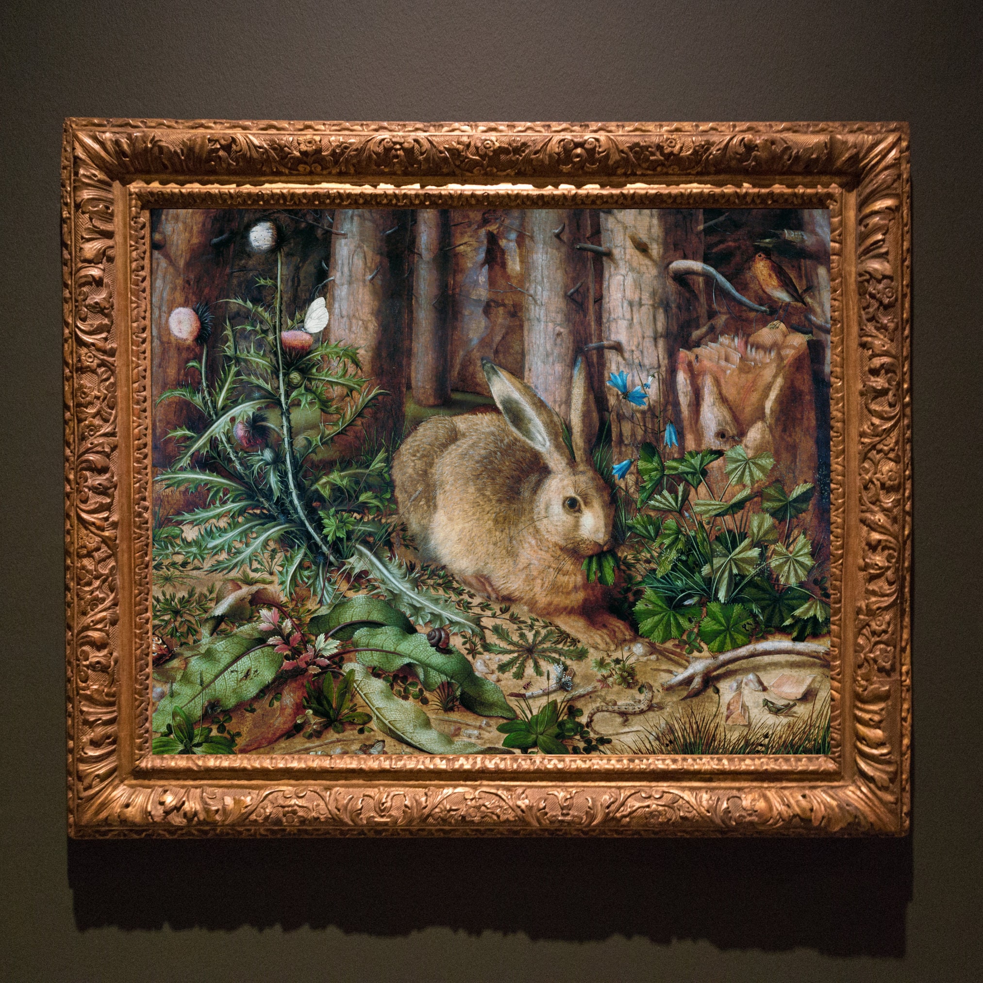 Vintage Farm Art, "hare in the Forest" (1585) From Original Painting by ...