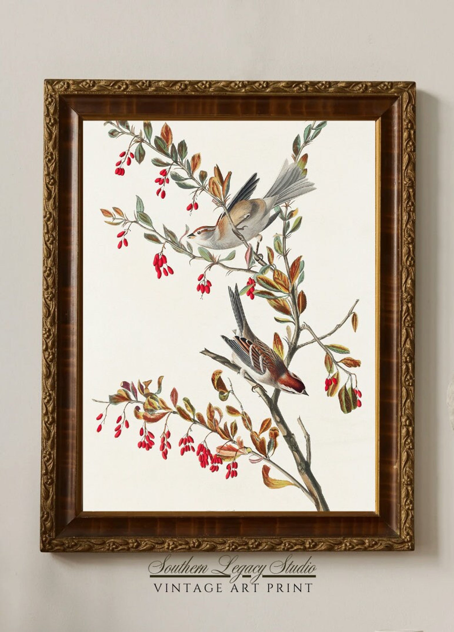 Audubon Art Print, tree Sparrow, Original by John James Audubon, Birds ...
