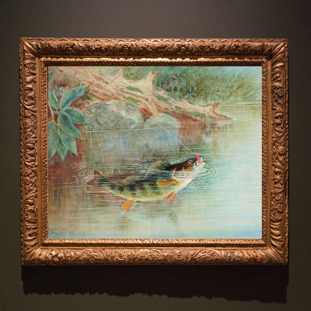 Vintage Yellow Perch Art Print: Samuel Kilbourne, 1878 Reproduction - Etsy