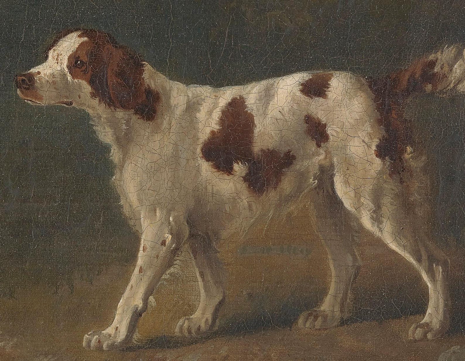A Setter, Vintage Dog Art Print, Museum Quality Matte Finish, Frame Not ...
