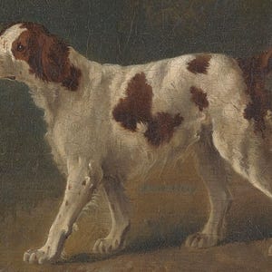 A Setter, Vintage Dog Art Print, Museum Quality Matte Finish, Frame Not ...