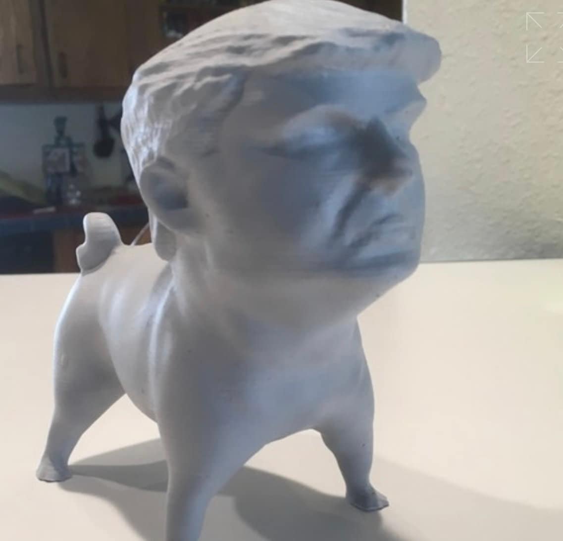 Donald Trump, Dog-3d Printed Multi Color and Sizes Available - Etsy
