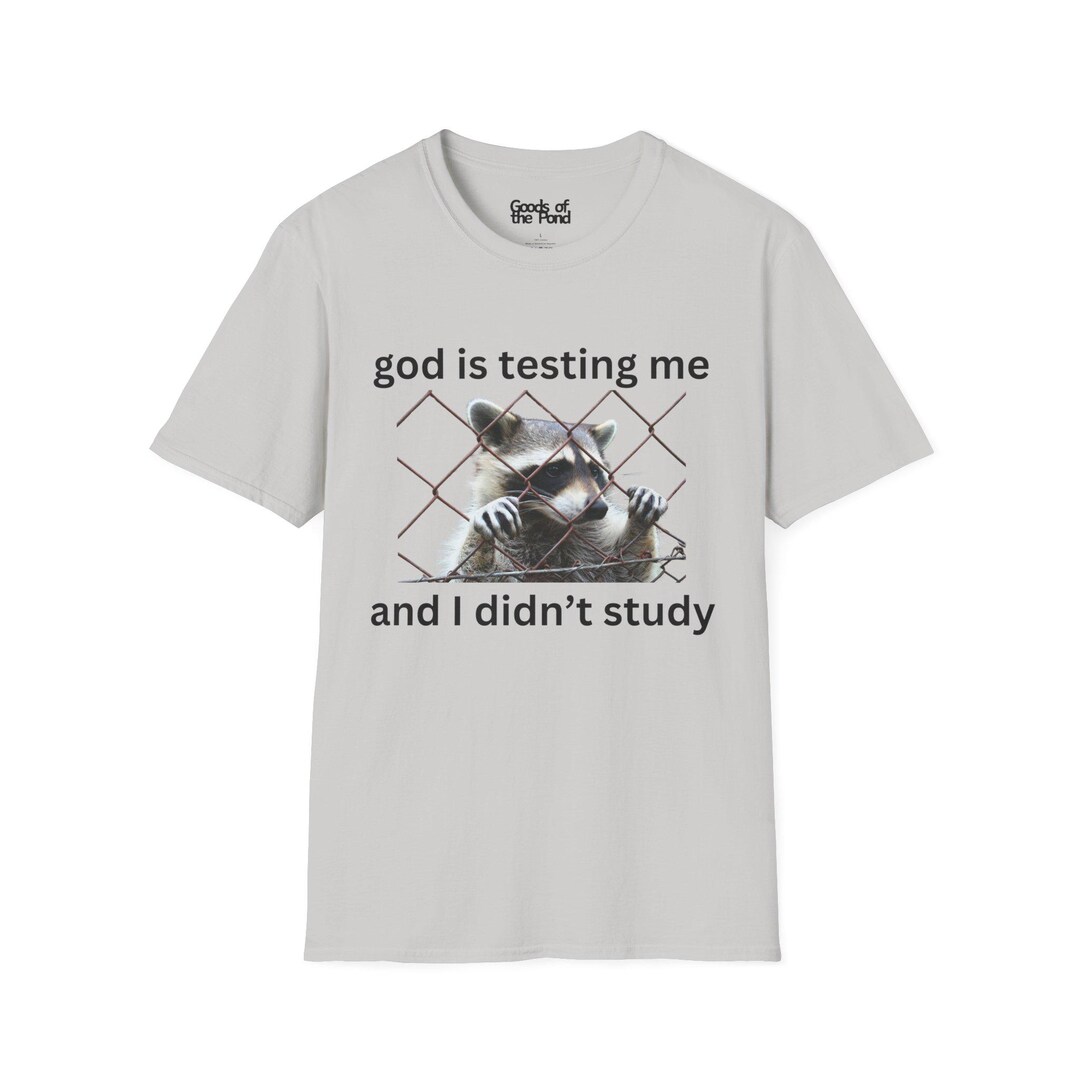 God is Testing Me and I Didn't Study, Raccoon Shirt, Meme T Shirt ...