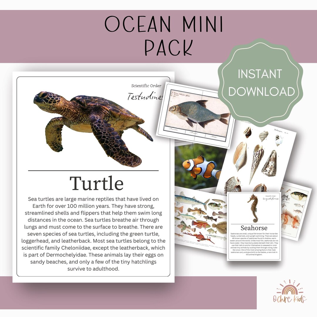 Ocean Animal Fact Cards | Montessori Sea Life Learning (printable ...