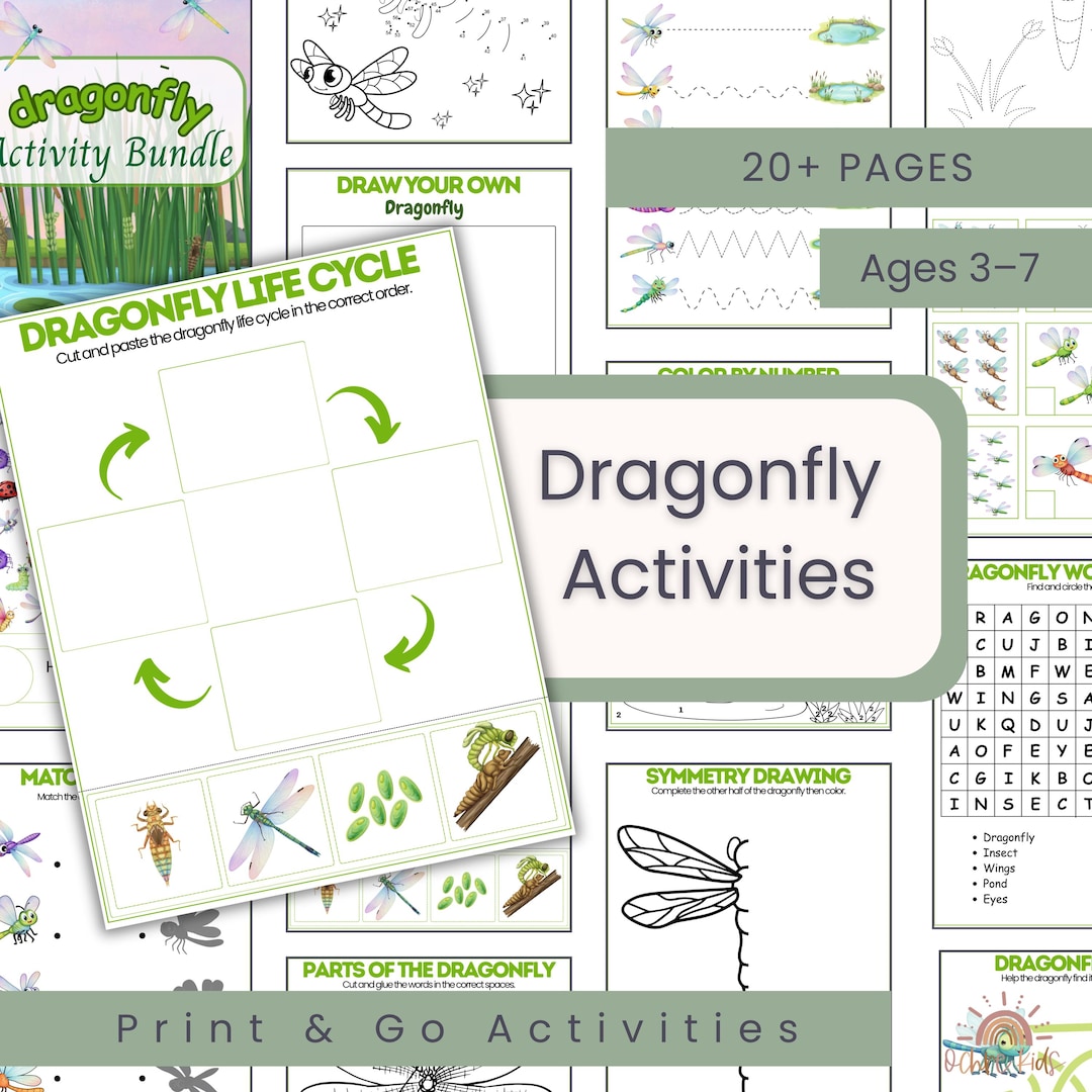 Printable Dragonfly Worksheets for Kids | Preschool Activity Pack ...