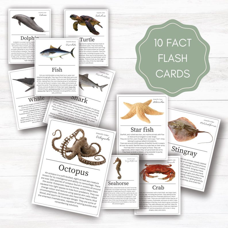 Ocean Animal Fact Cards | Montessori Sea Life Learning (printable ...
