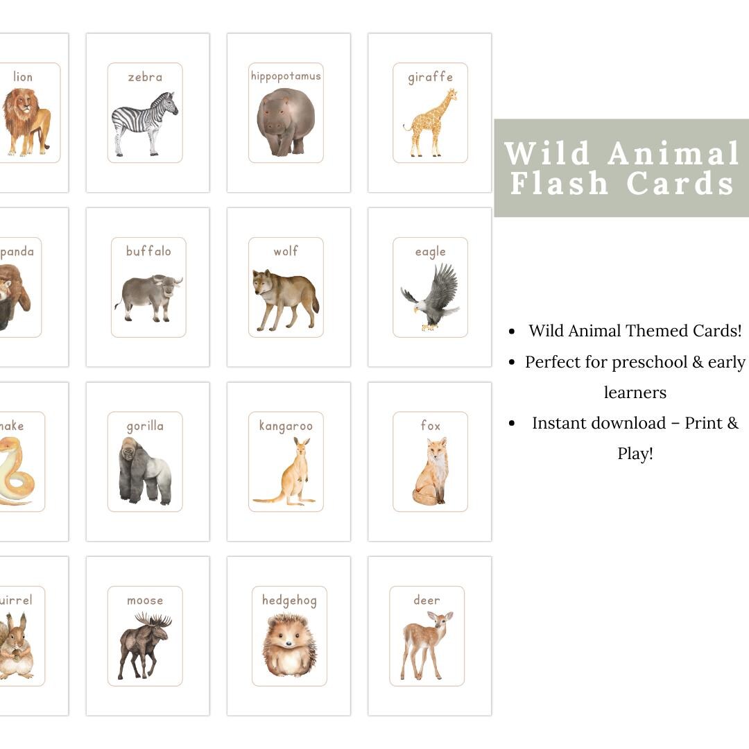 Wild Animal Flash Cards Montessori Nature Learning Preschool Vocabulary ...