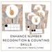Subitizing Number Cards 1-10: Homeschool Classroom Resource (digital ...