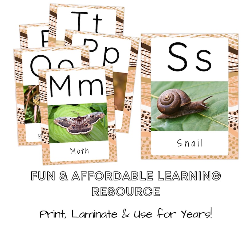 A-Z Insect & Bug Alphabet Flashcards – Natural Background | Montessori ...