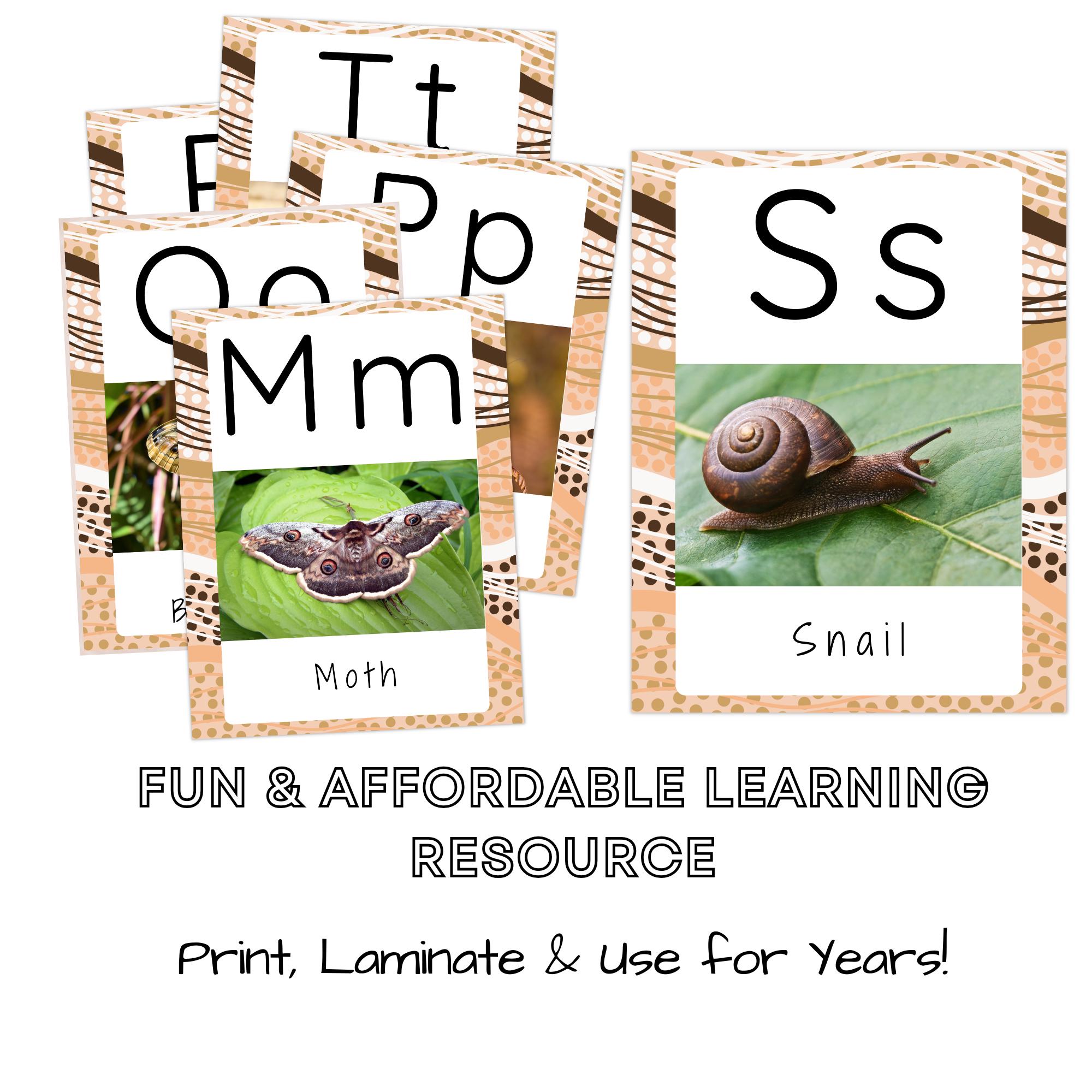 A-Z Insect & Bug Alphabet Flashcards – Natural Background | Montessori ...