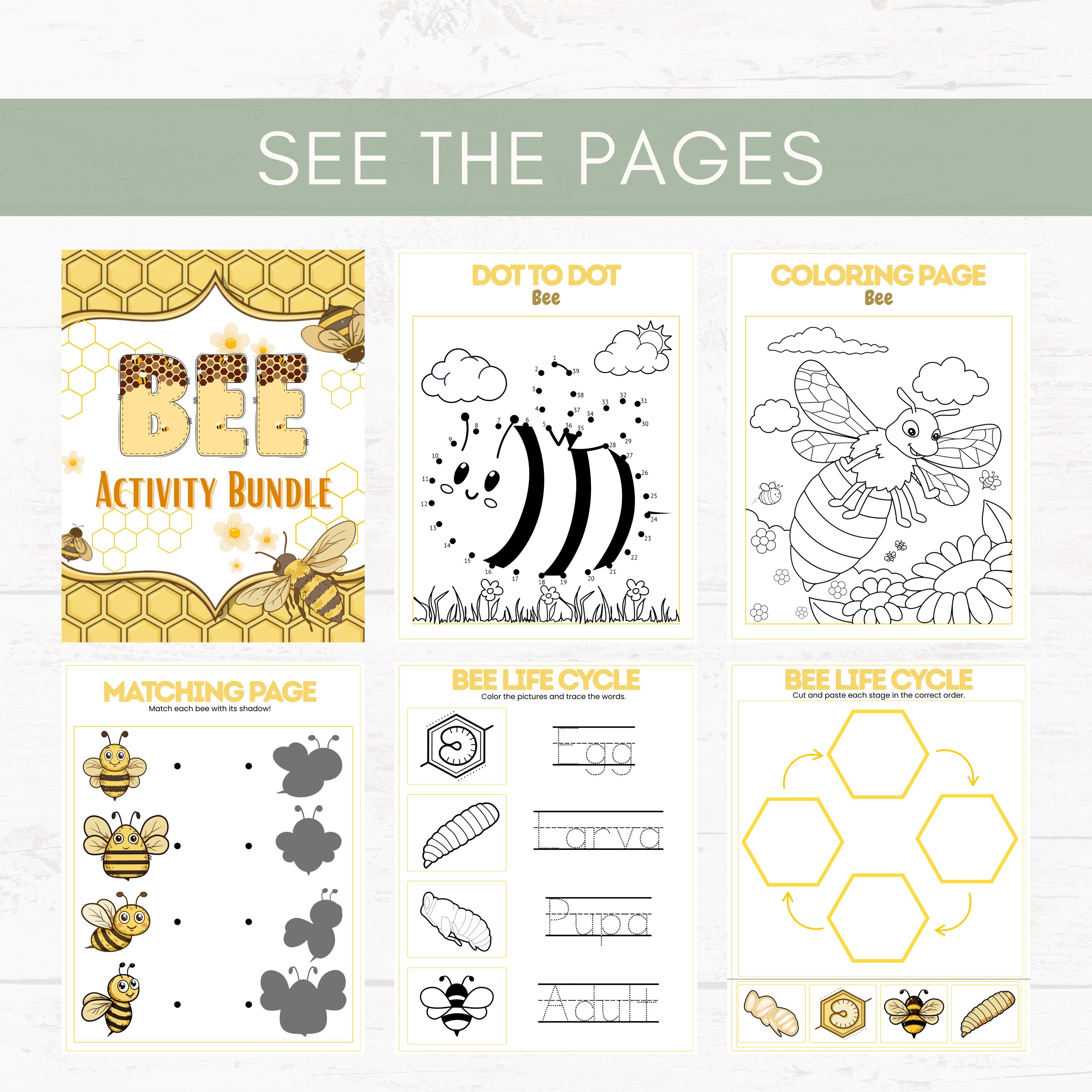 Bee Activity Bundle for Kids, Bee Unit Study Homeschool, Preschool ...