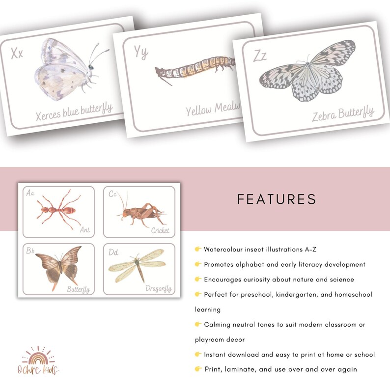 A-Z Insect Flash Cards Bugs Alphabet Early Learning Letter Recognition ...
