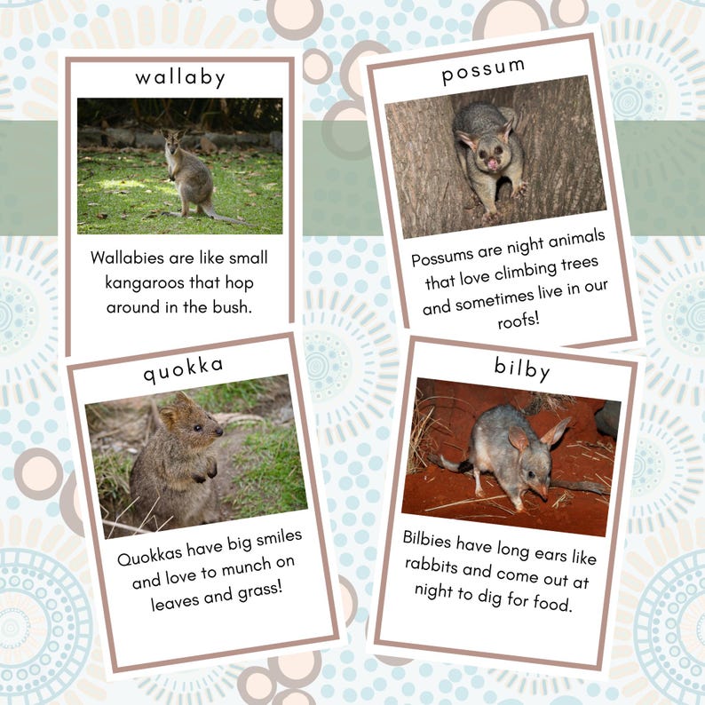 Australian Animals Fun Facts Cards Montessori Inspired Printable for ...