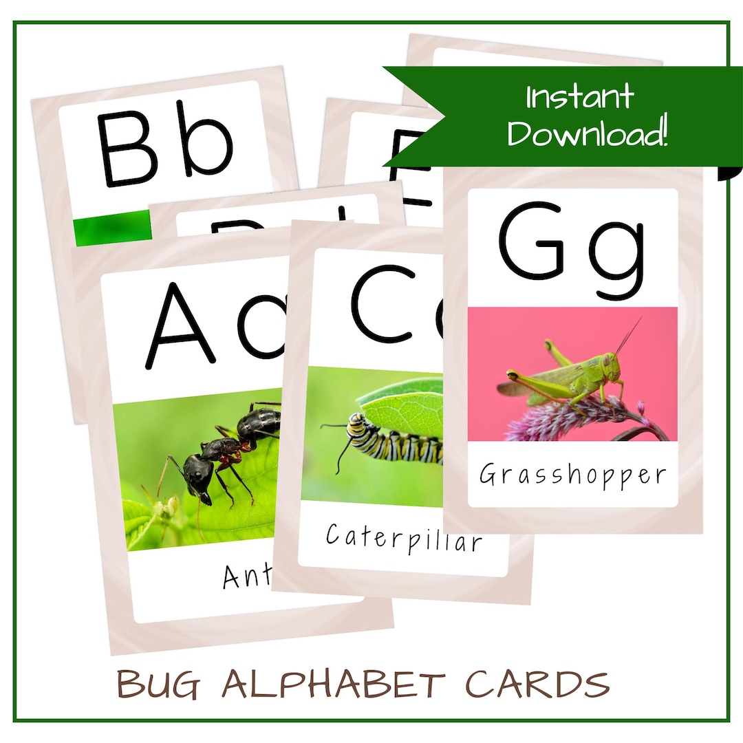 ABC Insect and Bug Alphabet Flashcards for Toddlers Preschool A to Z ...