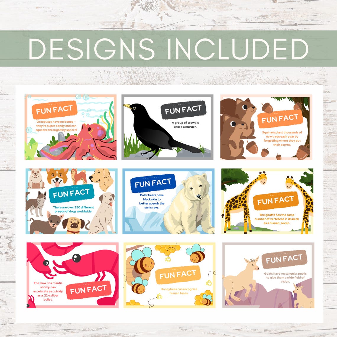 Animal Fun Facts Cards Lunchbox Notes for Kids Preschool Learning Cards ...