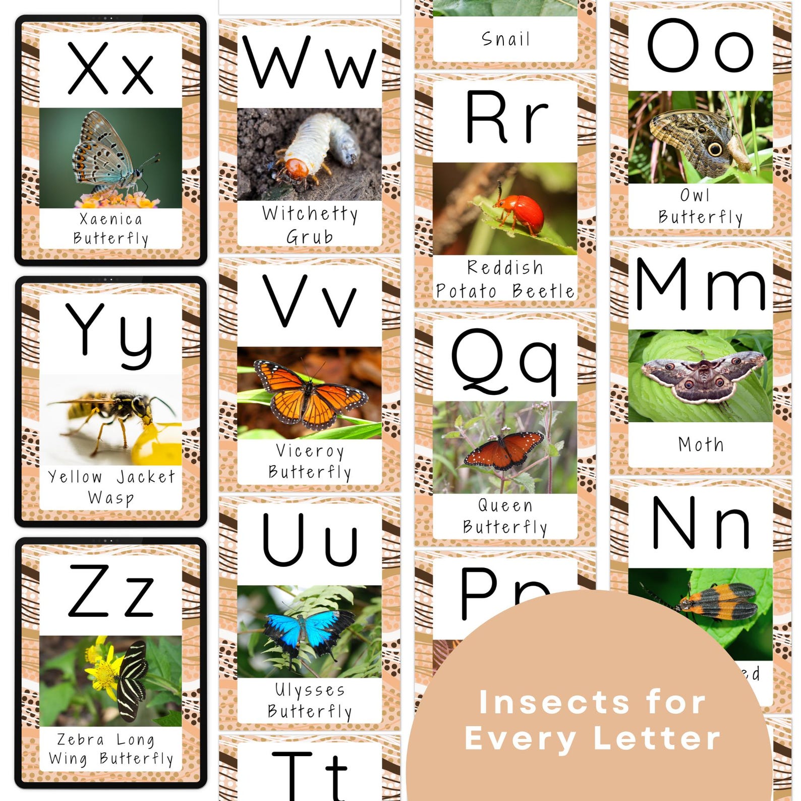 Insect Alphabet Flashcards: Montessori Preschool Learning (digital ...
