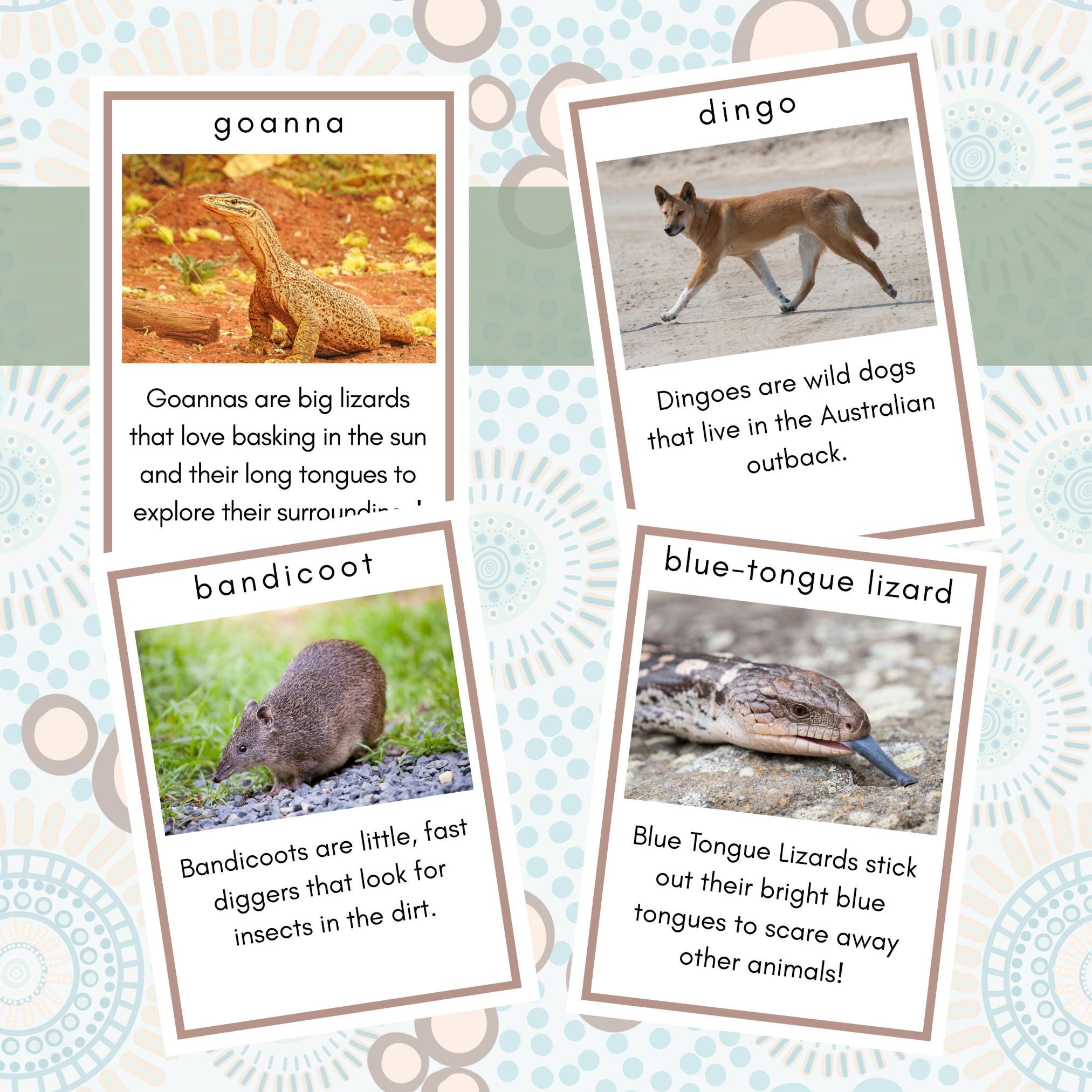 Australian Animals Fun Facts Cards Montessori Inspired Printable for ...