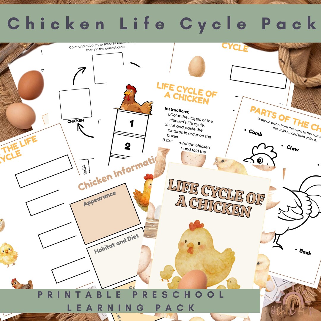 Chicken Life Cycle Printable Worksheets Farm Animal Science Unit Study ...