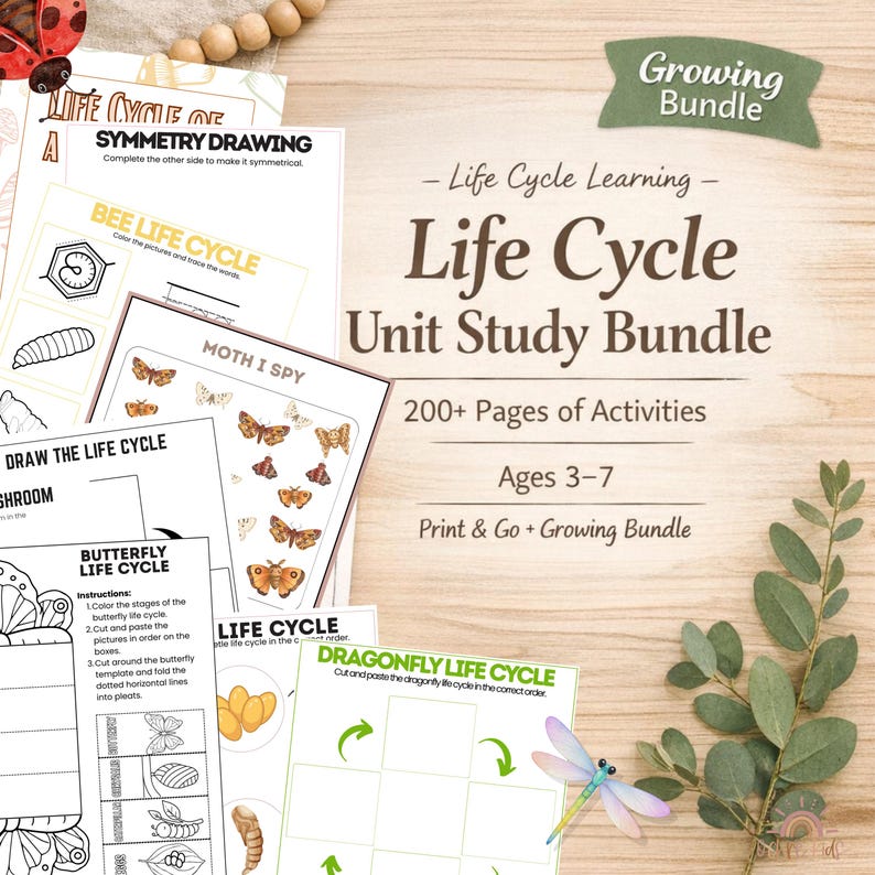 Life Cycle Unit Study Bundle for Kids Ages 3–7, Insect & Animal Life ...