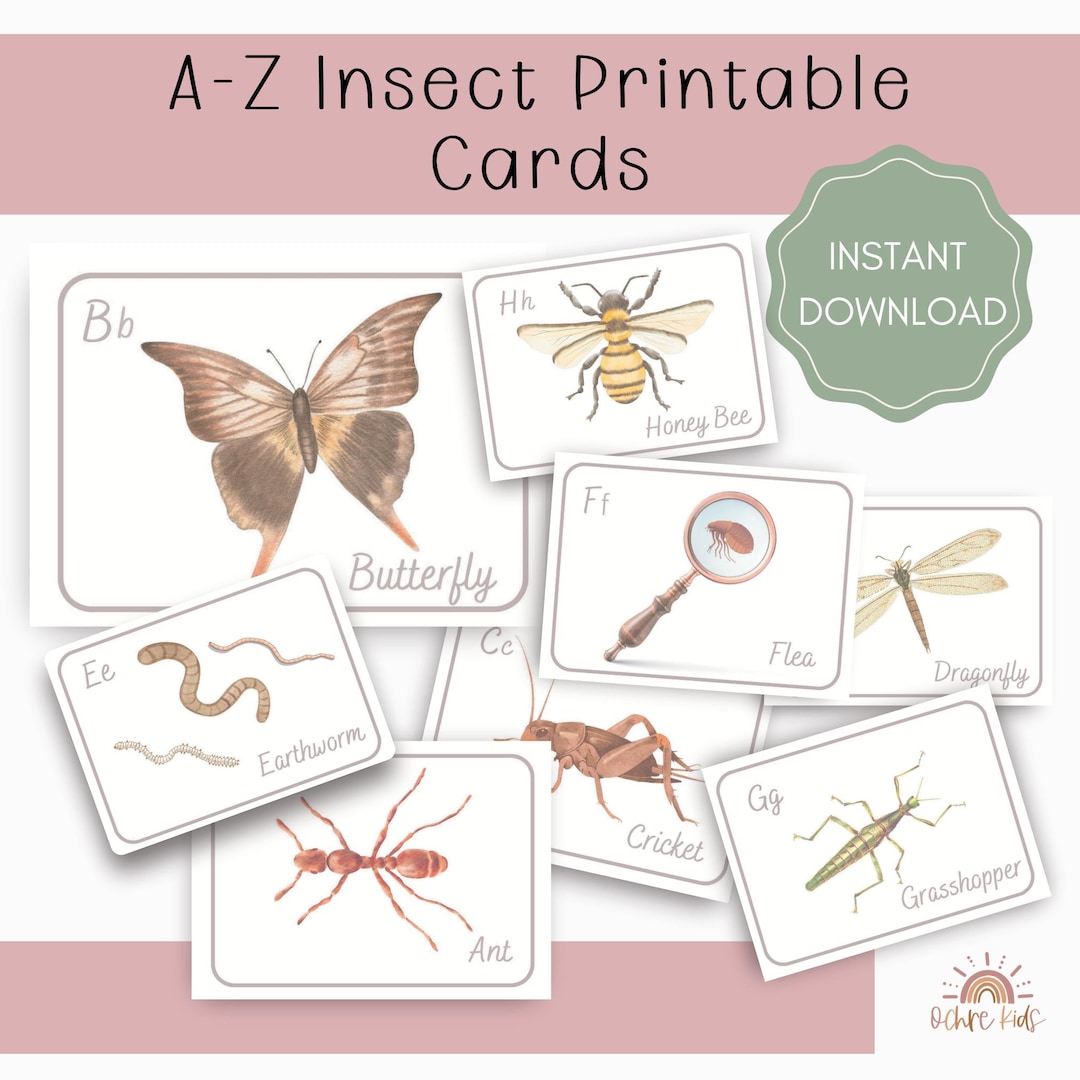 A-Z Insect Flash Cards Bugs Alphabet Early Learning Letter Recognition ...