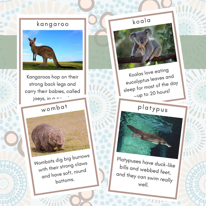 Australian Animals Fun Facts Cards Montessori Inspired Printable for ...