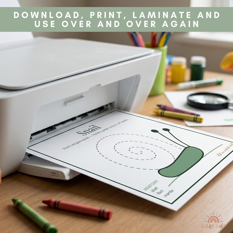 Insect Playdough Mats Printable, Bug Activities for Preschool, Insect ...