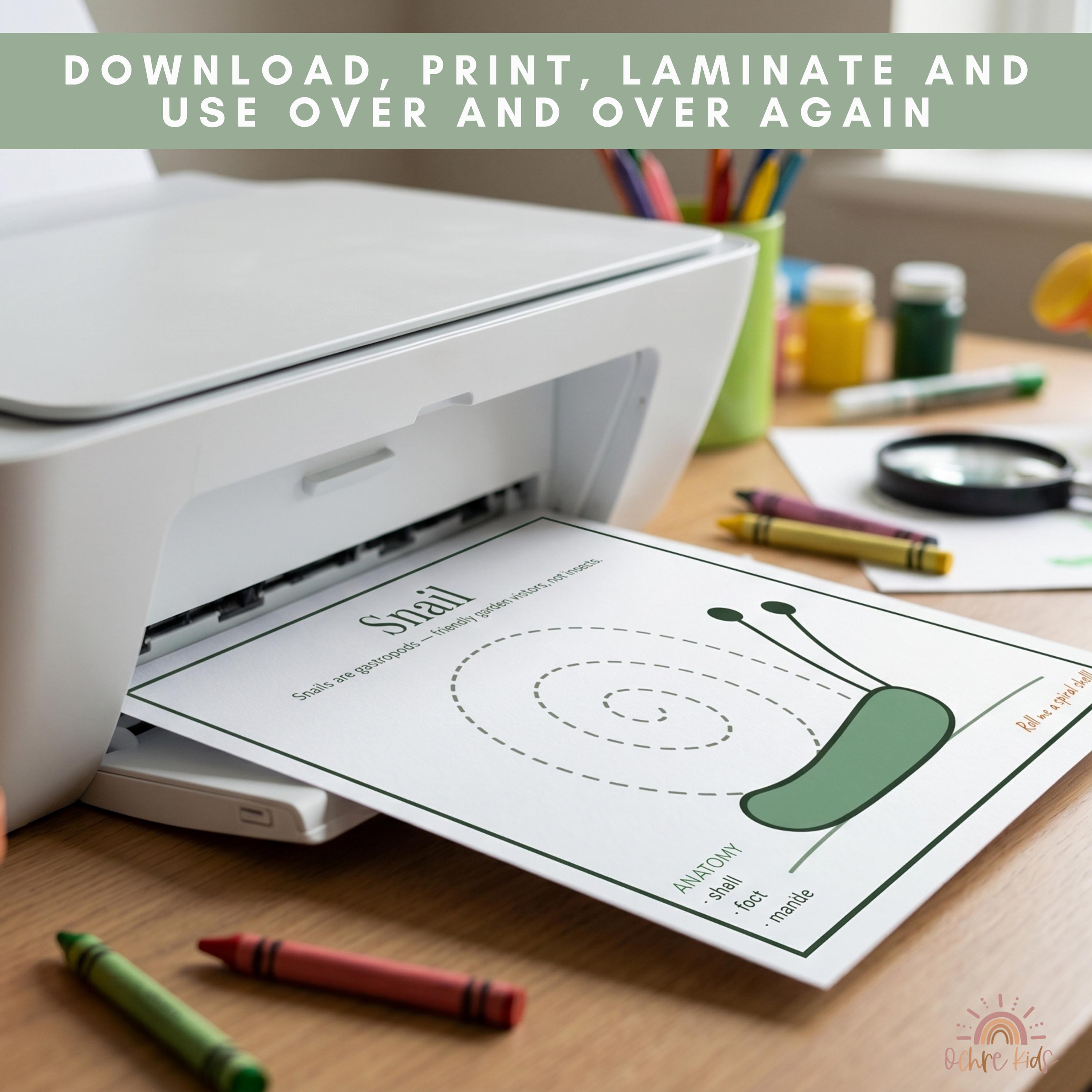 Insect Playdough Mats Printable, Bug Activities for Preschool, Insect ...