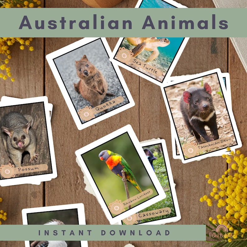 Australian Animals Flash Cards Educational Learning Cards Home ...